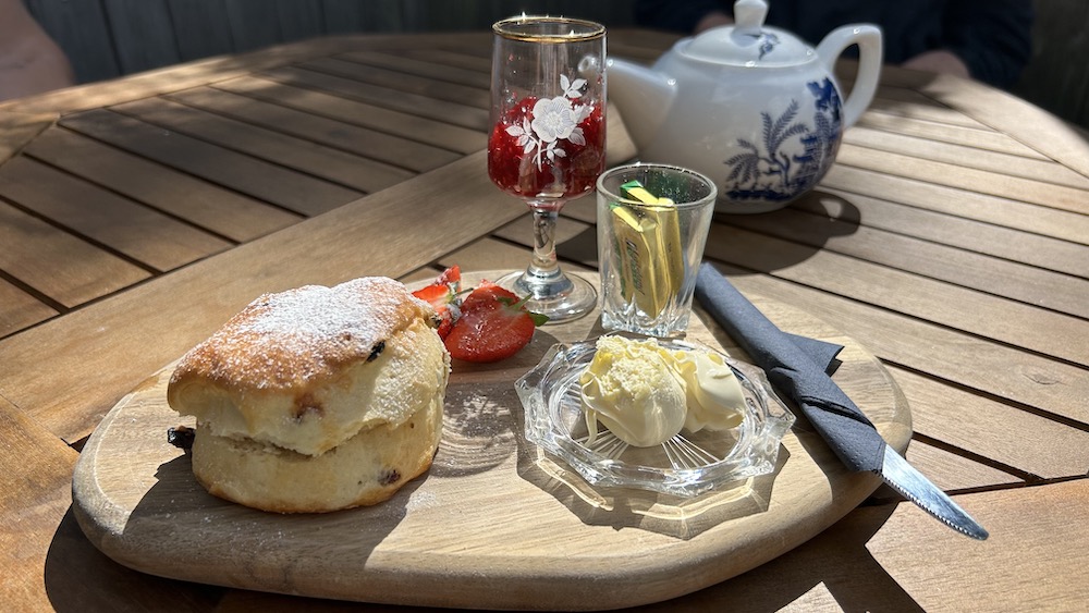 Life in Germany – August 2023 (Month 113) – Auntie Helen